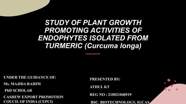 STUDY OF PLANT GROWTH PROMOTING ACTIVITIES OF ENDOPHYTES ISOLATED FROM ...