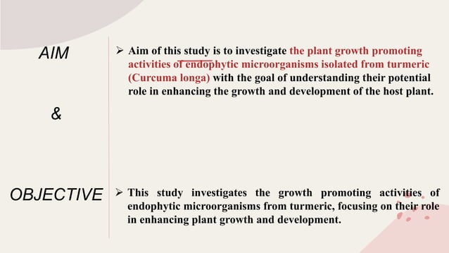 STUDY OF PLANT GROWTH PROMOTING ACTIVITIES OF ENDOPHYTES ISOLATED FROM ...