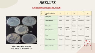 STUDY OF PLANT GROWTH PROMOTING ACTIVITIES OF ENDOPHYTES ISOLATED FROM ...