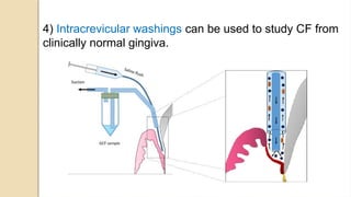 ATHUL PERIO. Defence mechanism of gingiva | PPTX | Oral care | Personal ...