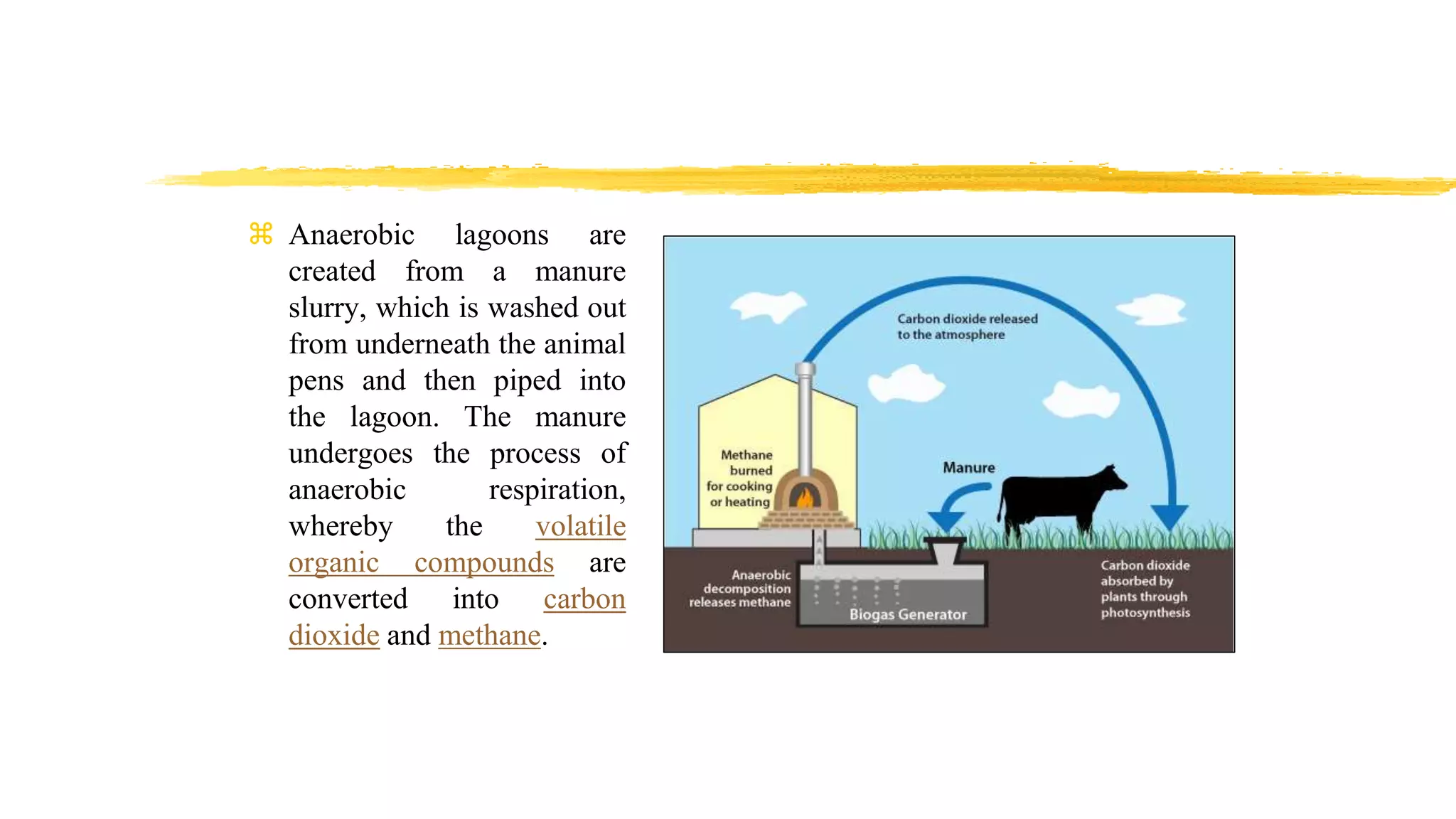 ATI-Animal-waste-management-utilization.pptx