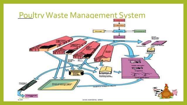 ATI-Animal-waste-management-utilization.pptx | Agriculture | Industries