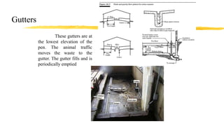 ATI-Animal-waste-management-utilization.pptx