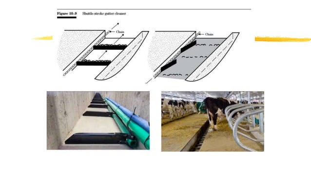 ATI-Animal-waste-management-utilization.pptx | Agriculture | Industries