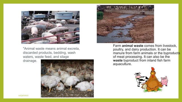 ATI-Animal-waste-management-utilization.pptx | Agriculture | Industries