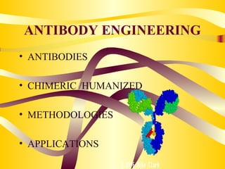 Atibody engineering | PPT