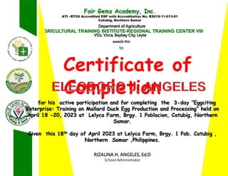 ATI Certificate MALLARD DUCK.pptx