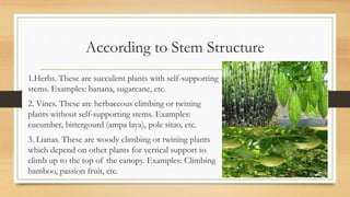 horticulture crops | PPT
