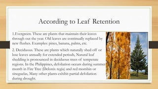 horticulture crops | PPTX