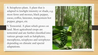 horticulture crops | PPT