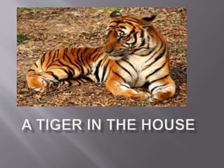 A TIGER IN THE HOUSE class 7 | PPTX