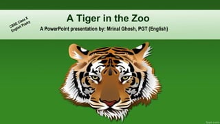 A tiger in the Zoo | PPT