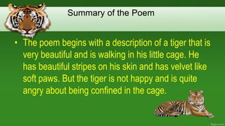 A tiger in the Zoo | PPT