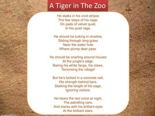 A Tiger in the Zoo | PPTX