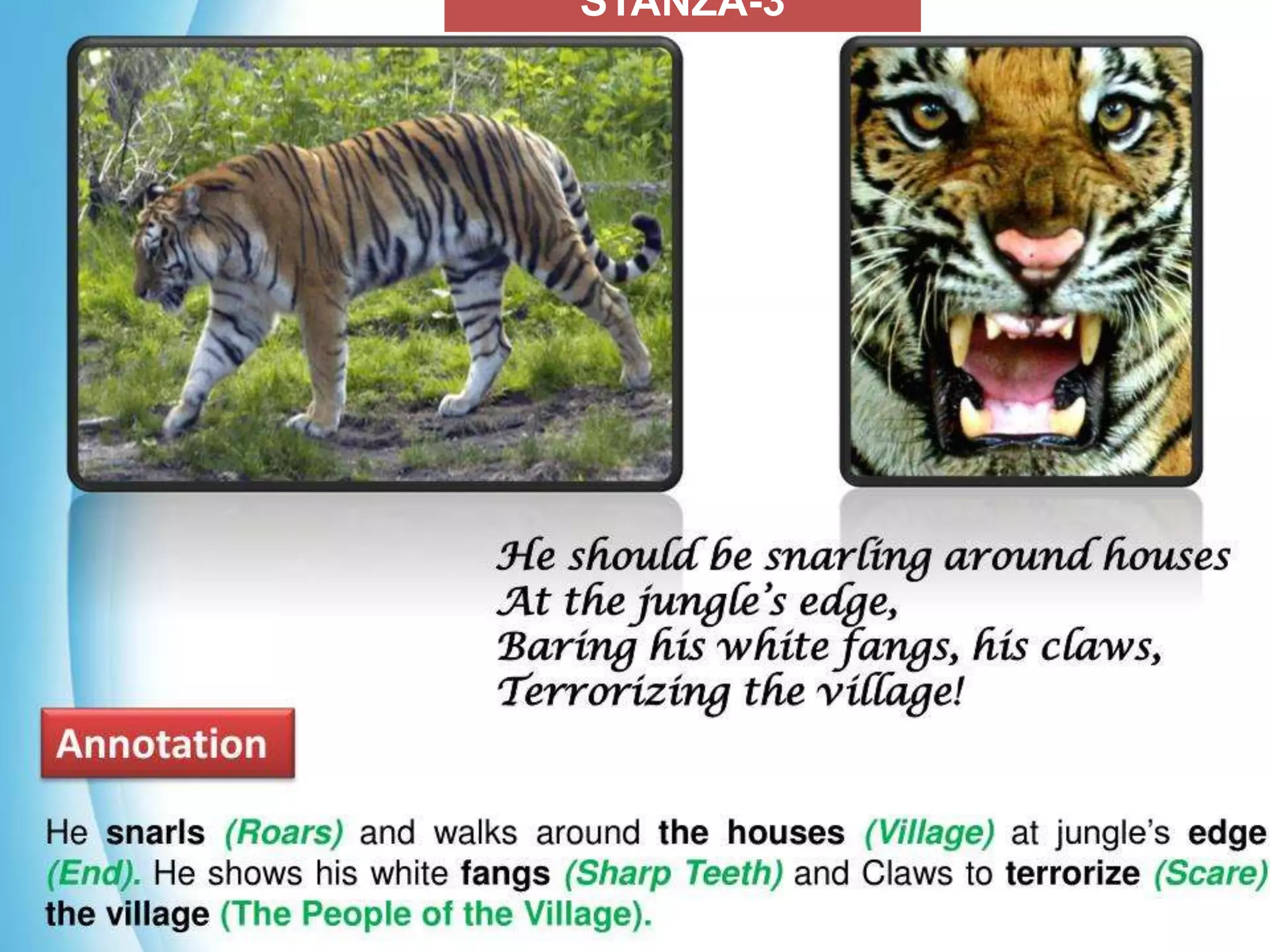 A Tiger in the Zoo.pptx