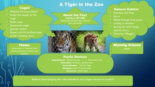 A. Tiger in the. Zooo. Presentation | PPTX