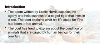 A tiger in the zoo chapter english class 11 | PPTX