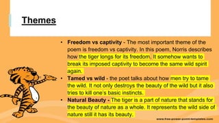 A Tiger in the zoo 23-24.pptx