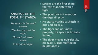 A tiger in the Zoo | PPT
