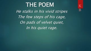 A tiger in the Zoo | PPT