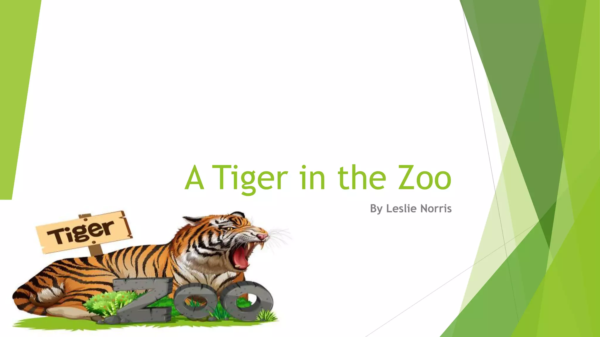 A tiger in the zoo poem presentation | PPT