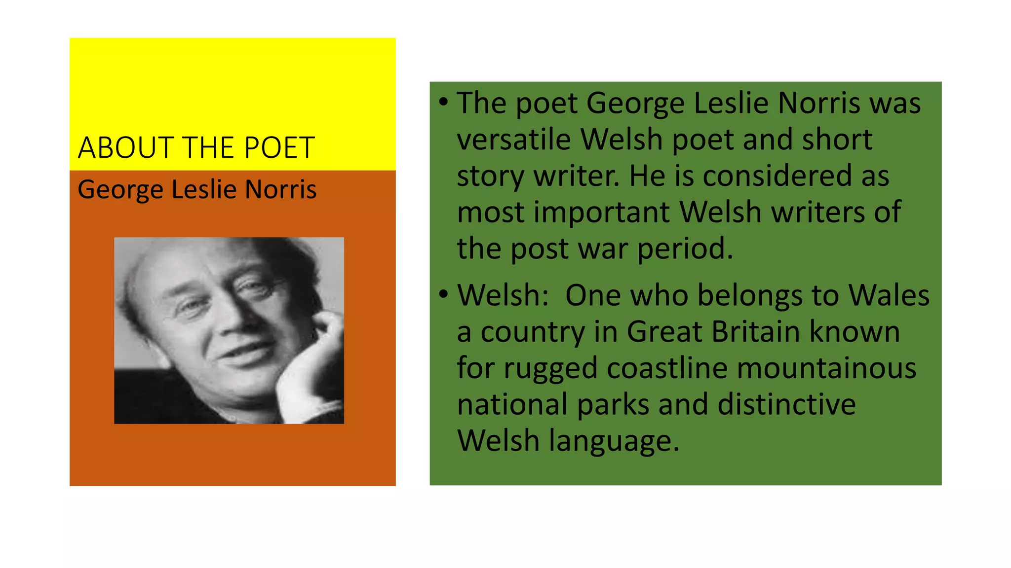 A tiger in the zoo ppt | PPTX