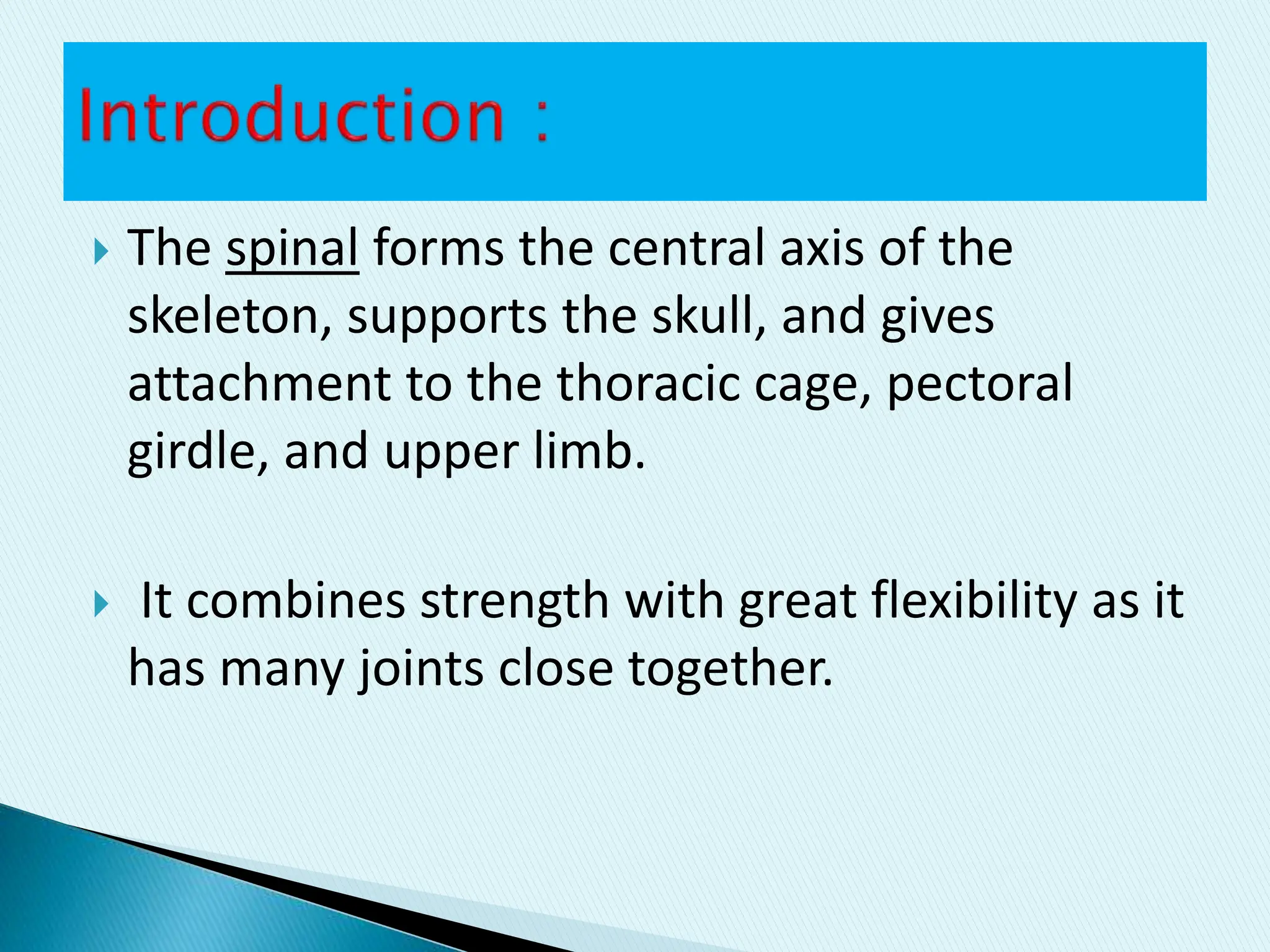 Normal Movement of The Spinal and Thorax | PPTX