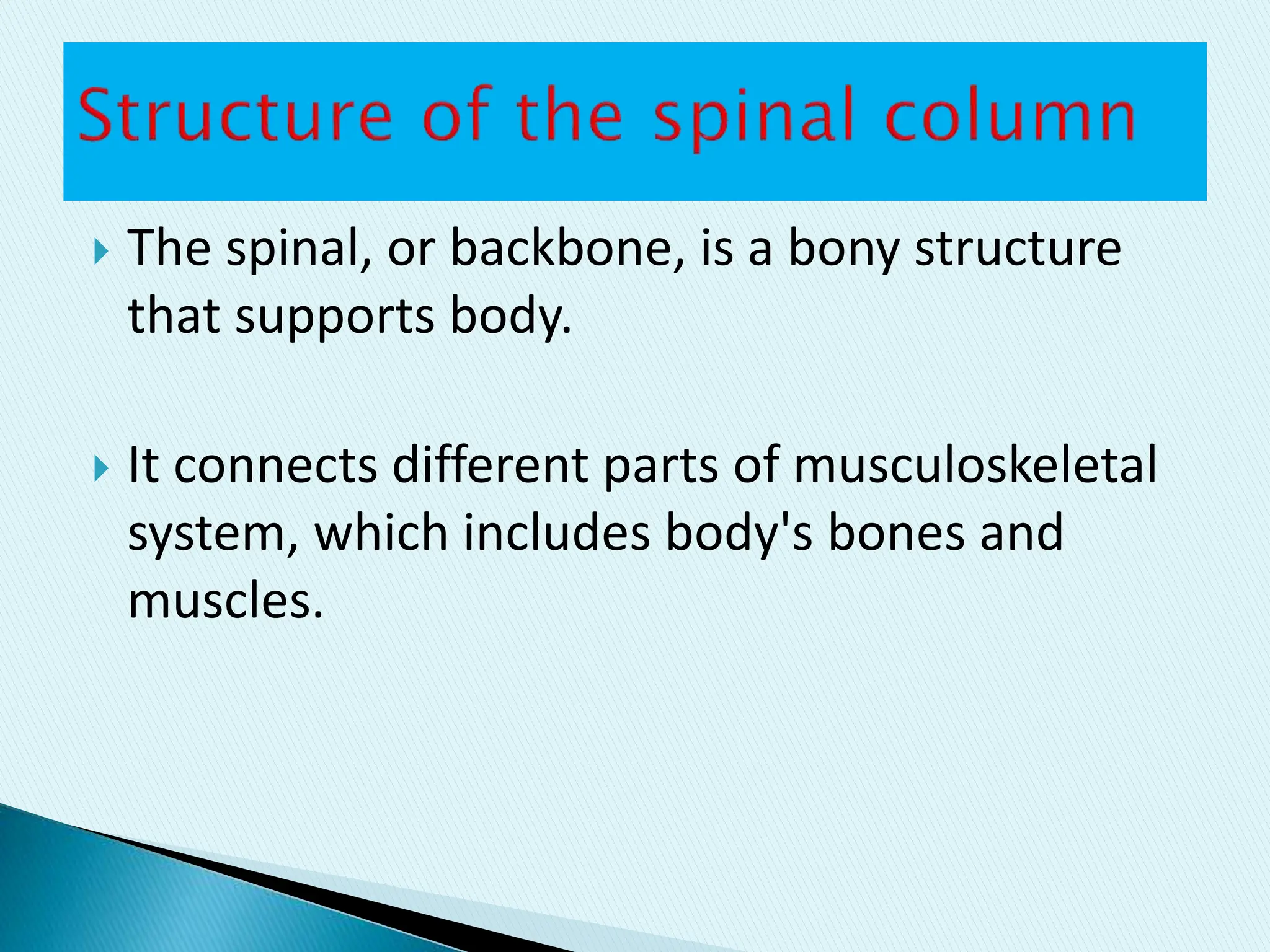 Normal Movement of The Spinal and Thorax | PPTX