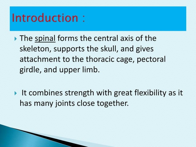 Normal Movement of The Spinal and Thorax | PPT