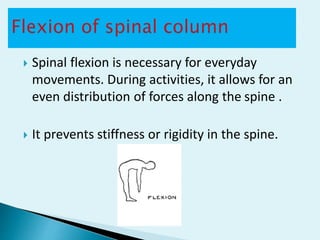 Normal Movement of The Spinal and Thorax | PPTX