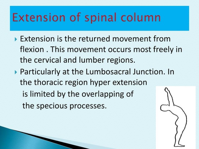 Normal Movement of The Spinal and Thorax | PPT