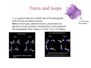 Atindra-protein.pptx