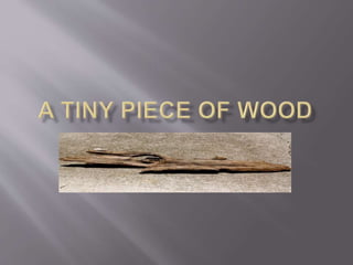 A tiny piece of wood | PPTX