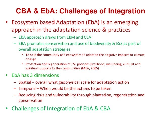 Community Based Adaptation as a Pillar of National Adaptation Efforts