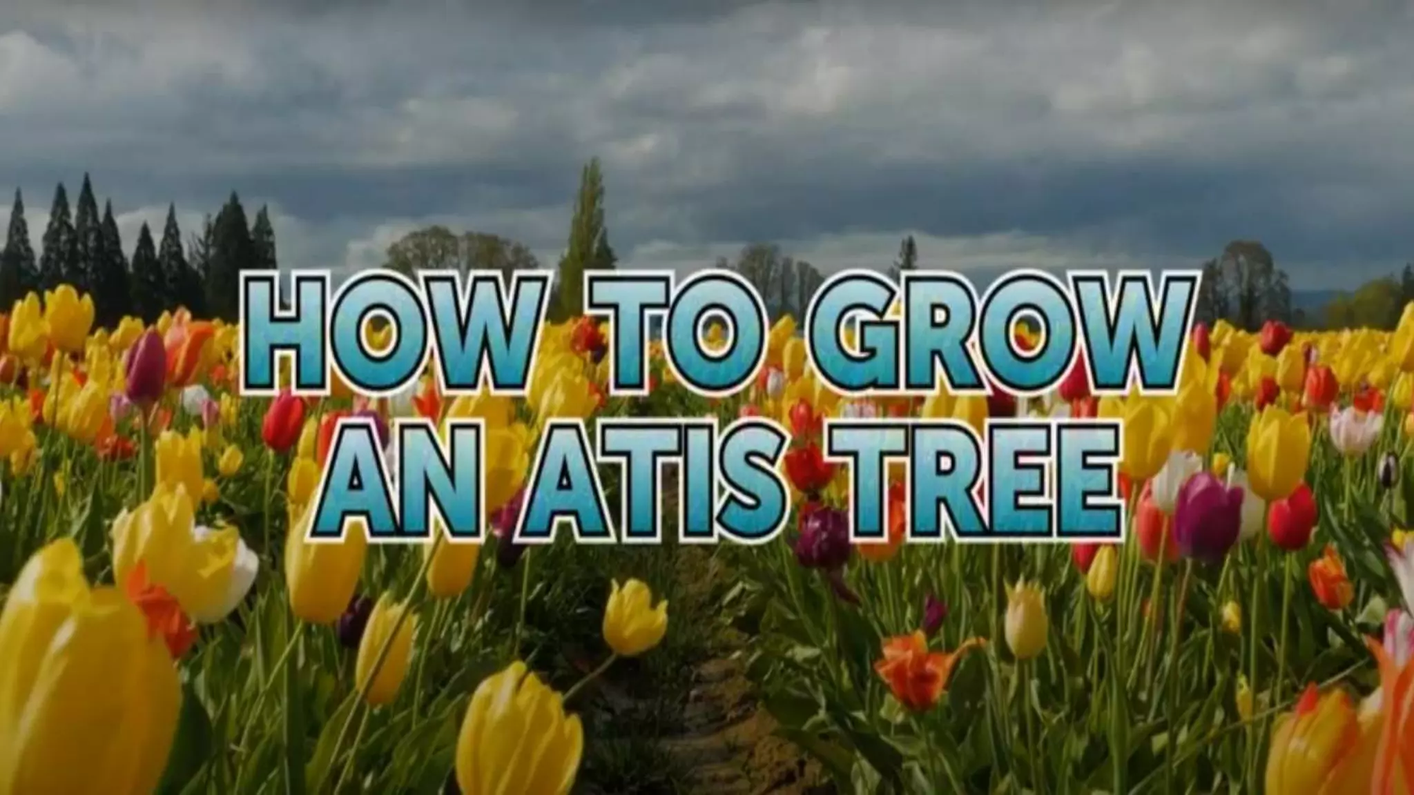 Atis plant | PPTX