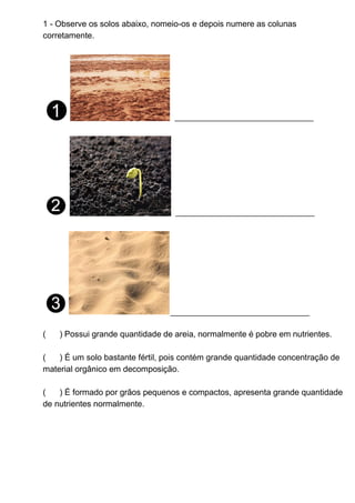 atividade acessivel tipos de solos.pdf