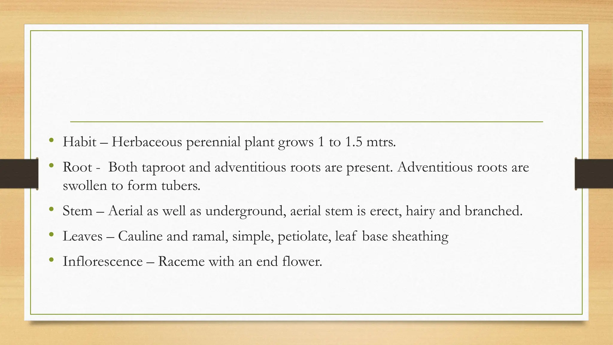 Ativisha.pptx dravya guna ptt ativisha final | PPTX | Gardening | Home ...