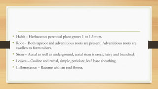 Ativisha.pptx dravya guna ptt ativisha final | PPTX | Gardening | Home ...