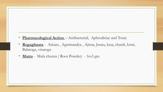 Ativisha.pptx dravya guna ptt ativisha final | PPTX | Gardening | Home ...