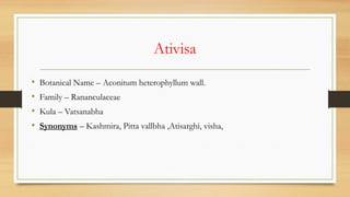 Ativisha.pptx dravya guna ptt ativisha final | PPTX | Gardening | Home ...