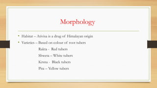 Ativisha.pptx dravya guna ptt ativisha final | PPTX | Gardening | Home ...