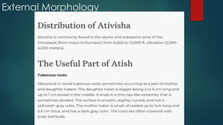 Ativisha by Saket in Dravyguna BAMS NCISM | PDF | Gardening | Home & Garden