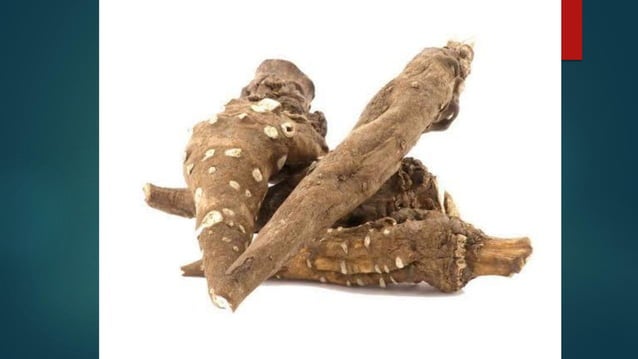 Ativisha by Saket in Dravyguna BAMS NCISM | PPT