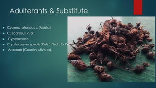 Ativisha by Saket in Dravyguna BAMS NCISM | PDF | Gardening | Home & Garden