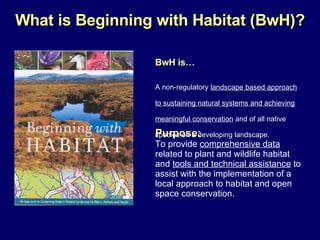 Atkins Bwh Biodiversity Conservation | PPT