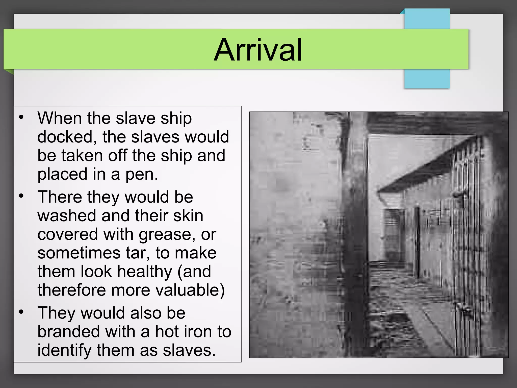 Atlantic slave trade | PPT