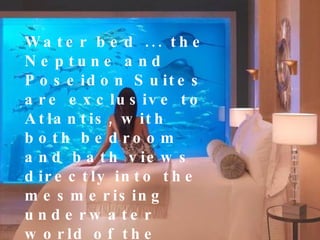 Atlantis Hotel | PPS