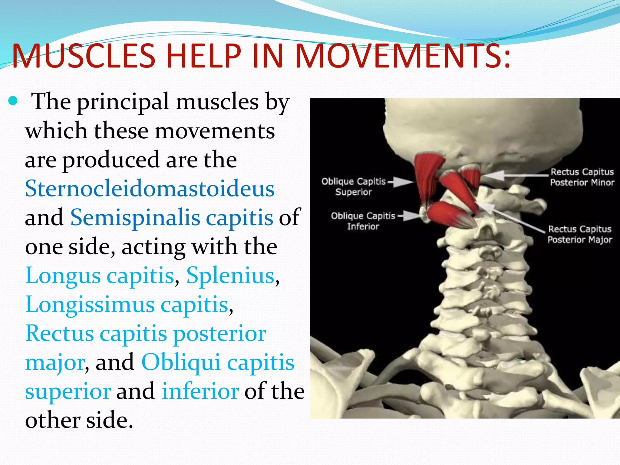 Atlantoaxial and occipital joint | PPTX