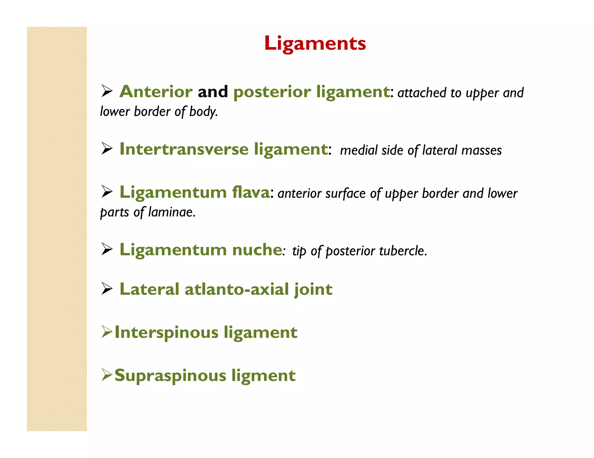 Atlanto occipital and atlanto axial joint | PDF