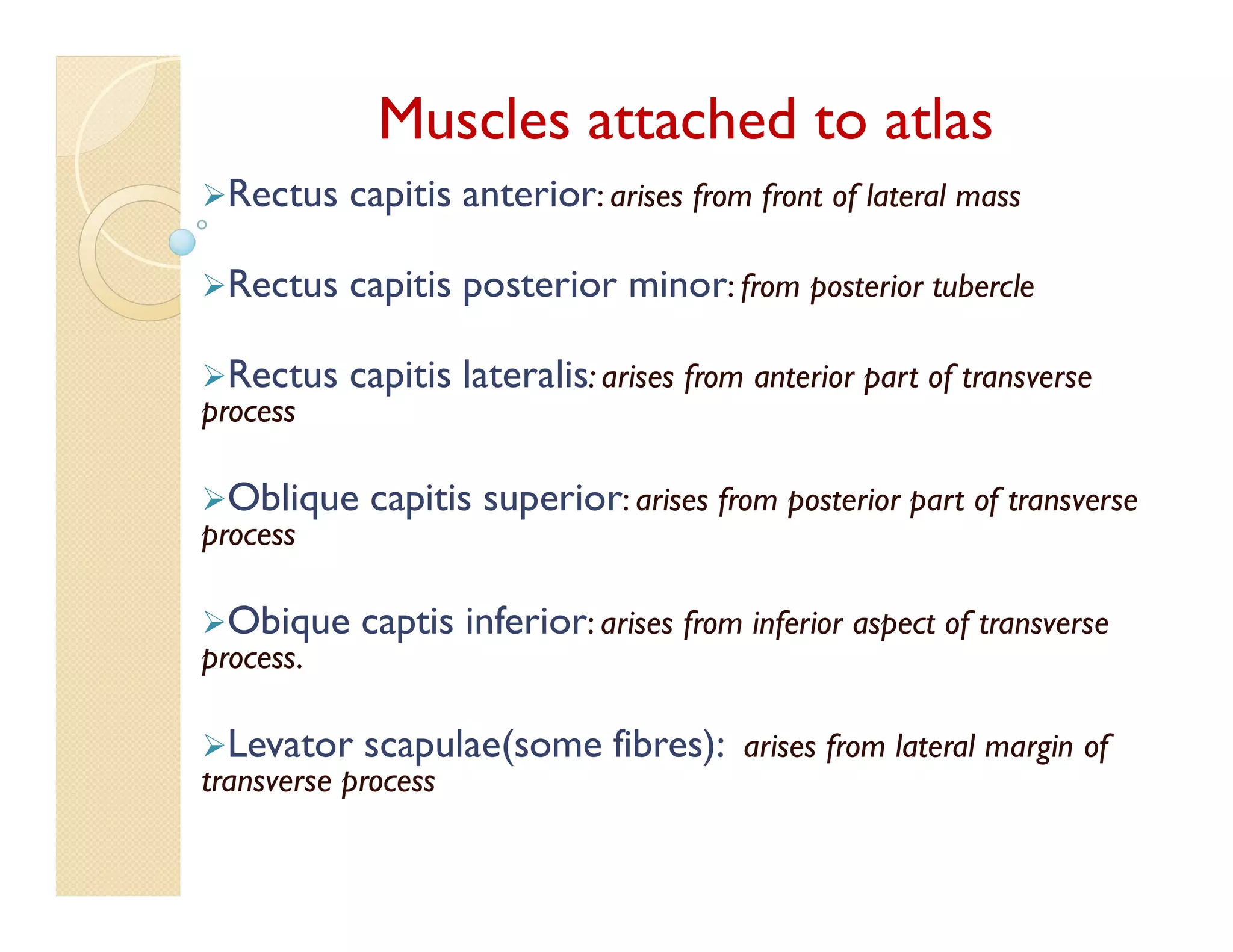 Atlanto occipital and atlanto axial joint | PDF